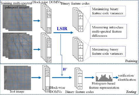 Figure 1 From Learning Spectrum Invariance Representation For Cross Spectral Palmprint