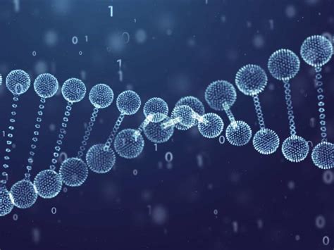 Mosaic Down Syndrome Chromosome