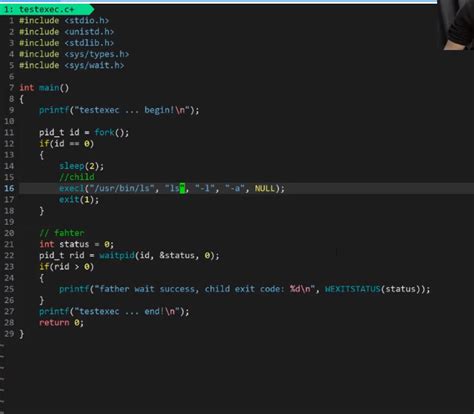 linux 进程的替换 csdn博客