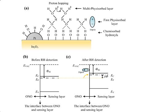 Schematic Water Molecule Adsorption And Related Energy Band Diagrams A