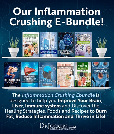 How To Detox Seed Oils From The Body