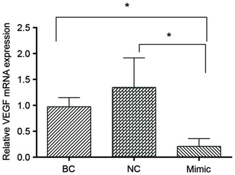 Functional Role Of Mir 27b In The Development Of Gastric Cancer