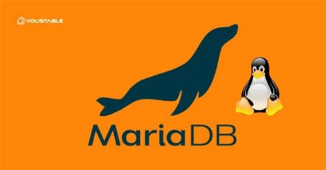 How To Install Mariadb On A Linux Server