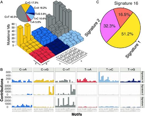 Mutational Signatures Extracted From Escc A Lego Plot Representation