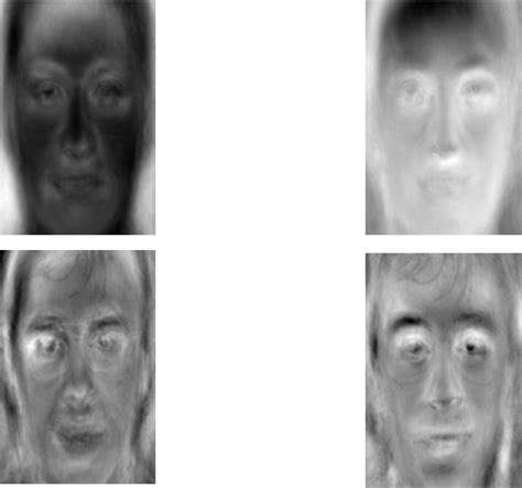 Figure 12 From Parallel Implementation Of Eigenfaces For Face