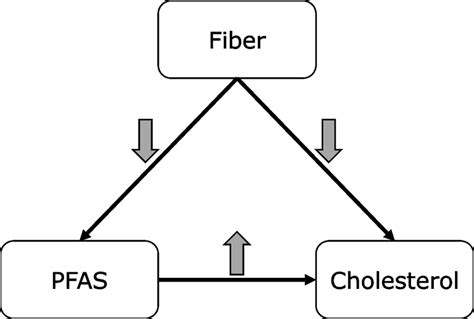 Directed Acyclic Graph Showing Relationships Between Fiber Pfas And