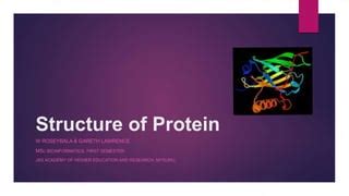 Structure Of Protein PPT