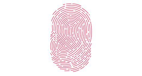 Touch ID Not Working Properly Here S The Fix IOS Hacker