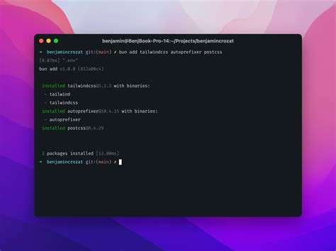 Use Bun As Your Package Manager In Any Php Project
