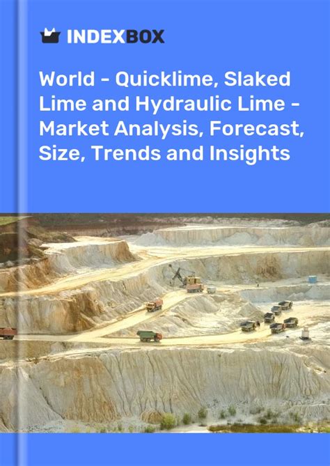 Which Country Imports The Most Quicklime Slaked Lime And Hydraulic