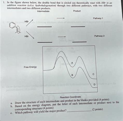 Solved 1 In The Figure Shown Below The Double Bond That Is Circled Can Theoretically React