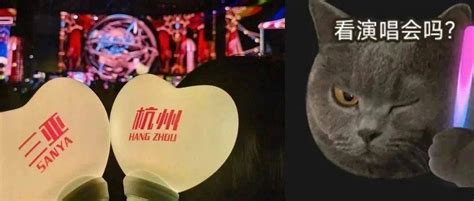 小研来拆招 想看周董演唱会，结果钓出一窝诈骗犯？笑到差点穿帮骗子屏幕黄牛