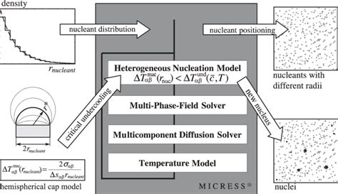 2 The Phase Field Model Can Be Integrated With Different Nucleation Download Scientific
