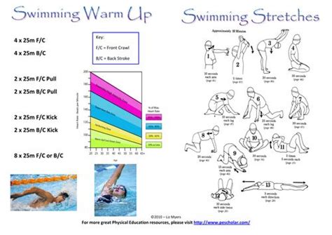 Swimming Warm Ups And Training Sets Pe Scholar Teaching Resources