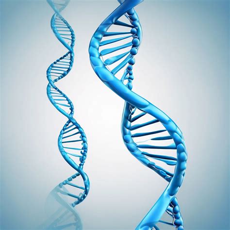 Native Dna Ancestry Analysis 28 Str Marker Autosomal Test For 1