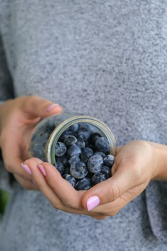냉동 블루 베리 과일과 그릇을 들고 여자 수확 개념 딸기를 수집하는 여성의 손 건강한 식습관 겨울 채식 채식 주의 자 음식 딸기 스타킹 건강한 생활방식에 대한 스톡 사진 및