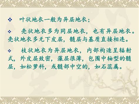 PPT 第七章 地衣植物门 PowerPoint Presentation free download ID 3678644