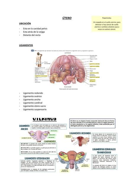 Tero Fabiana S S Udocz