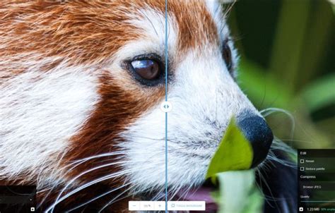 Jpeg Lossless Recompression Alternatives And Similar Extensions And Add