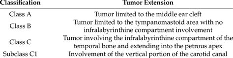 Adapted Fisch Classification Of Jugulotympanic Paraganglioma Download Table