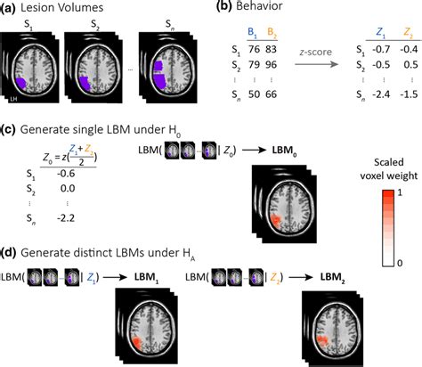 Model Building Phase In The Predictive Validity Comparison Pvc Download Scientific Diagram