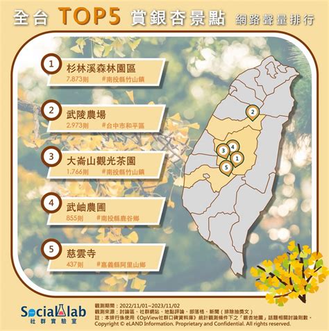 秋冬不可錯過的璀璨黃金雨！ 全台五大銀杏秘境報你知