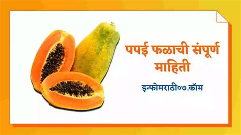 पपई फळाची संपूर्ण माहिती Papaya Information In Marathi