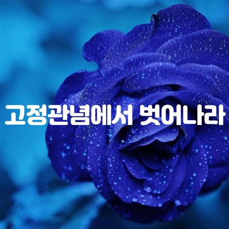 고정관념에서 벗어나라