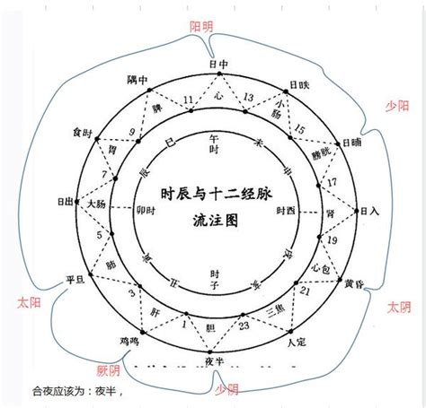 阳明脉走向图 三阳脉 伤感说说吧