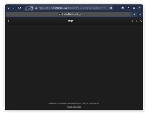 Cannot Share Smart Albums · Issue 2053 · Lycheeorglychee · Github