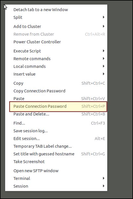 Paste Connection Password With Shortcut Does Not Resolve The Keepass Password · Issue 627
