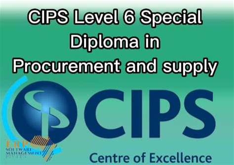 Cips Level 6 Strategic Procurement And Supply Training Byerpsm