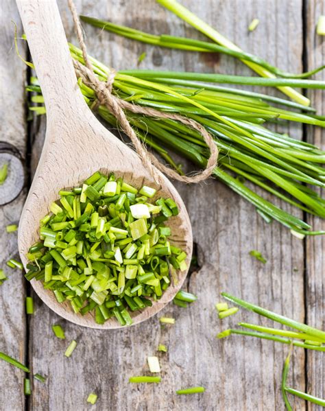Chives Recipeland