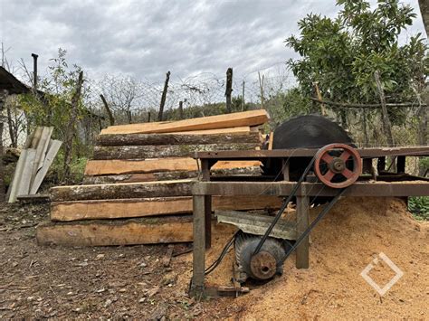 ნოემბერში უკანონო ტყით სარგებლობის 393 ფაქტი გამოვლინდა გარემოსდაცვითი ზედამხედველობის