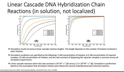 Fast And Compact DNA Logic Circuits NextBigFuture Com