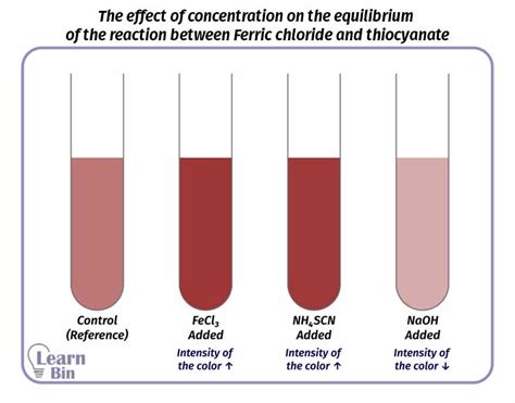 Equilibrium Point Factors Affecting The Equilibrium Point Learnbin