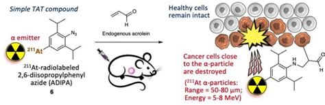Japans Alpha Particle Assassin New Treatment For Multiple Types Of Cancer