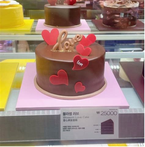 파리바게트 케이크 종류 미니케이크 추천 가격 할인 네이버 블로그