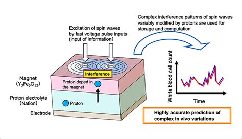 Ion Controlled Spin Wave Device As New Computing Device