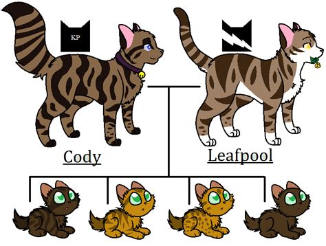 Cody And Leafpools Kits By Warrior Verse Gal On Deviantart