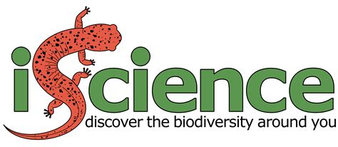 Educators Corner Discover Life In America