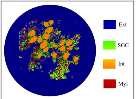 Color Coded Mapping Of Heterogeneous Extracellular Electric