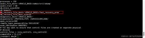 Ora 01261 Parameter Dbrecoveryfiledest Destination String Cannot Be Translated Csdn博客