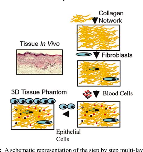 Figure 1 From Polarized Reflectance Spectroscopy For Pre Cancer Detection Semantic Scholar