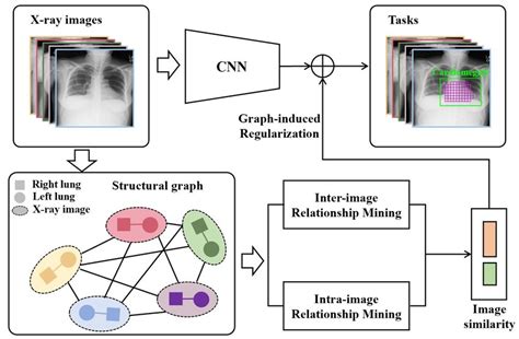 the general architecture of graph regularized embedding networks for