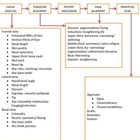 Algorithm For Nasal Analysis Download Scientific Diagram