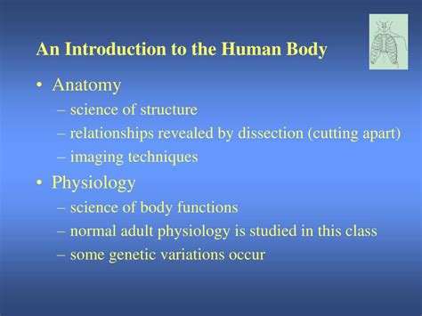 Ppt An Introduction To The Human Body Powerpoint Presentation Free Download Id 268608