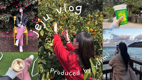 Vlog Jeju Vlog 🍊 복작복작 시끌벅적한 3박4일 대가족 제주여행기👨‍👩‍👧‍👦 제주맛집 오션뷰카페 시장투어 드라이브🚘 Youtube