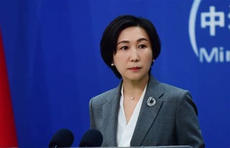 外交部务实合作互利共赢始终是中德关系的主基调 手机新浪网