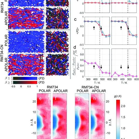 Molecular Dynamics Simulations A Snapshots Of Molecular Dynamics